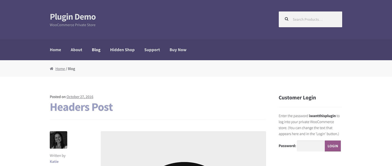 WooCommerce Hidden Store: 2 Ways to Keep Your Store Private