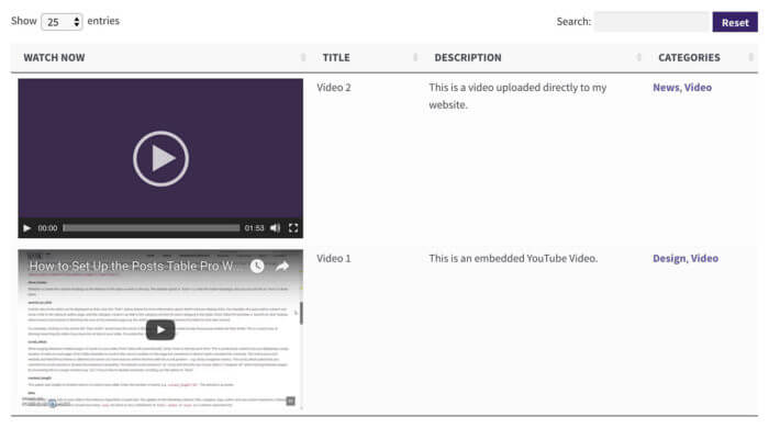 The Best WordPress Video Gallery Plugin (And How to Use It)