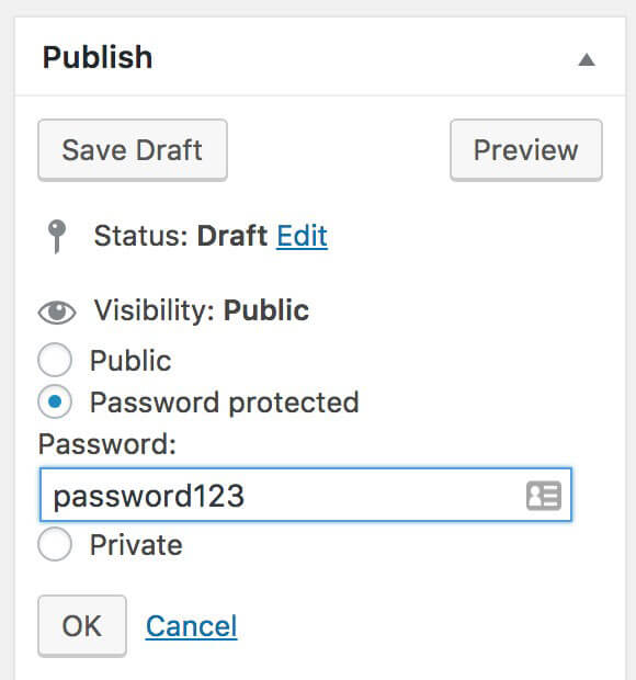 Create a Password Protected Portfolio in WordPress: 3 Easy Ways