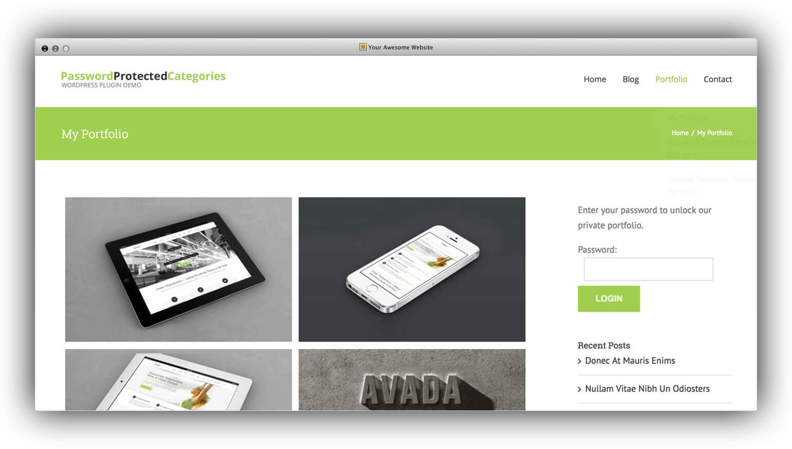 How to Password Protect Any WordPress Custom Post Type