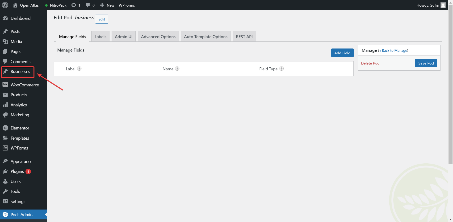 Show WPForms Form Entries in a Searchable Table
