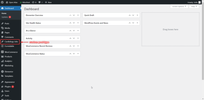 Displaying User Data with Formidable Forms Display Entries