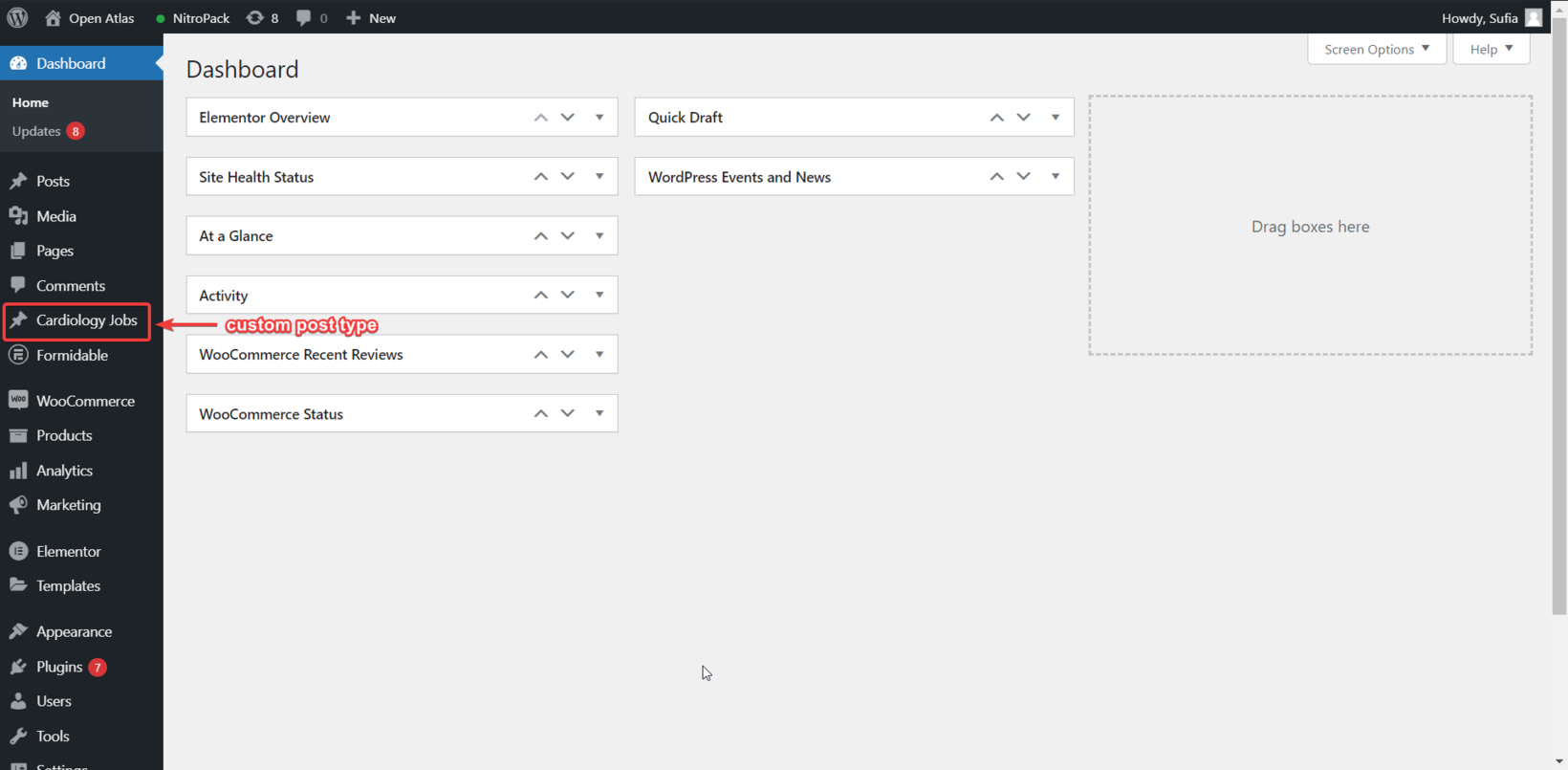 Displaying User Data with Formidable Forms Display Entries