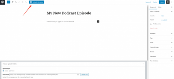 How To Create A Podcast Player On Your Elementor Website 2024
