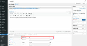 How to Allow Decimal Quantity Inputs in WooCommerce