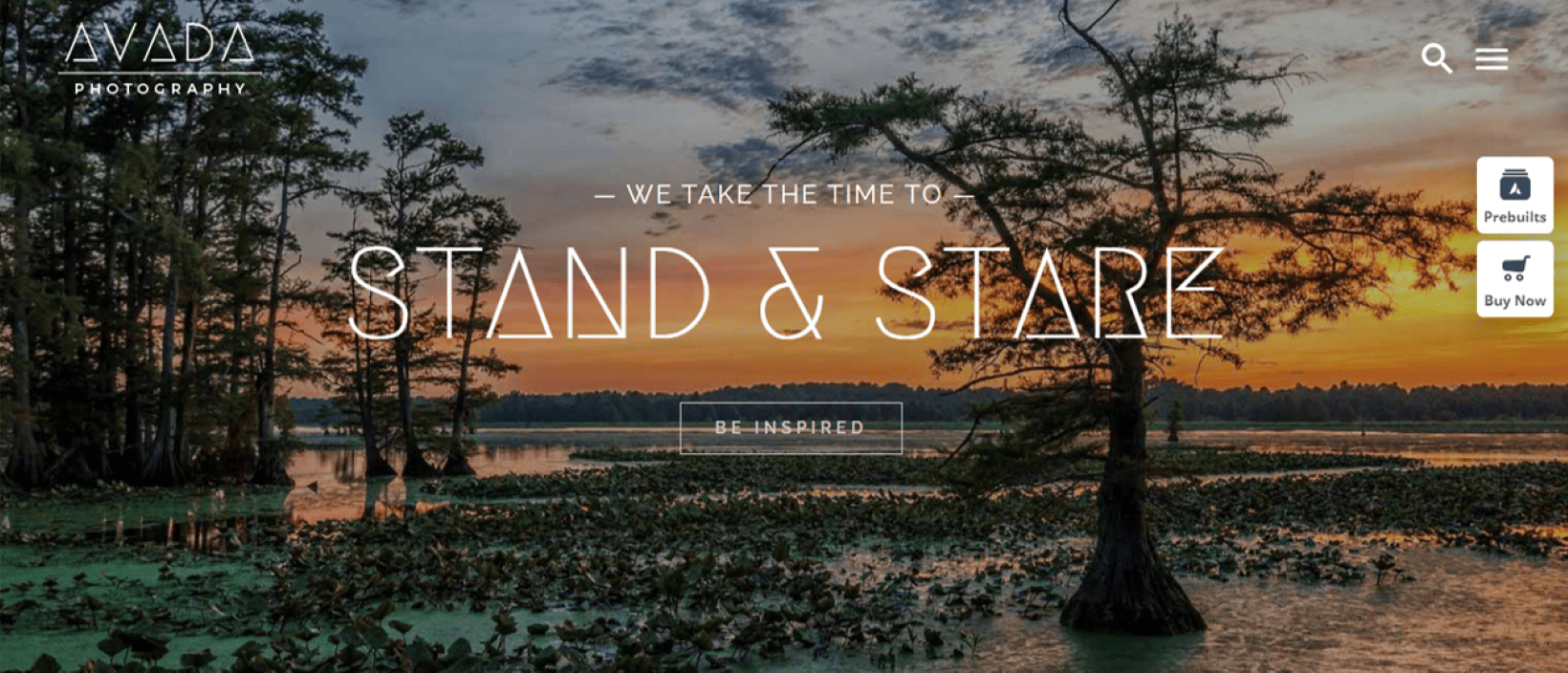 The 5 Best Paid & Free Wordpress Photography Themes